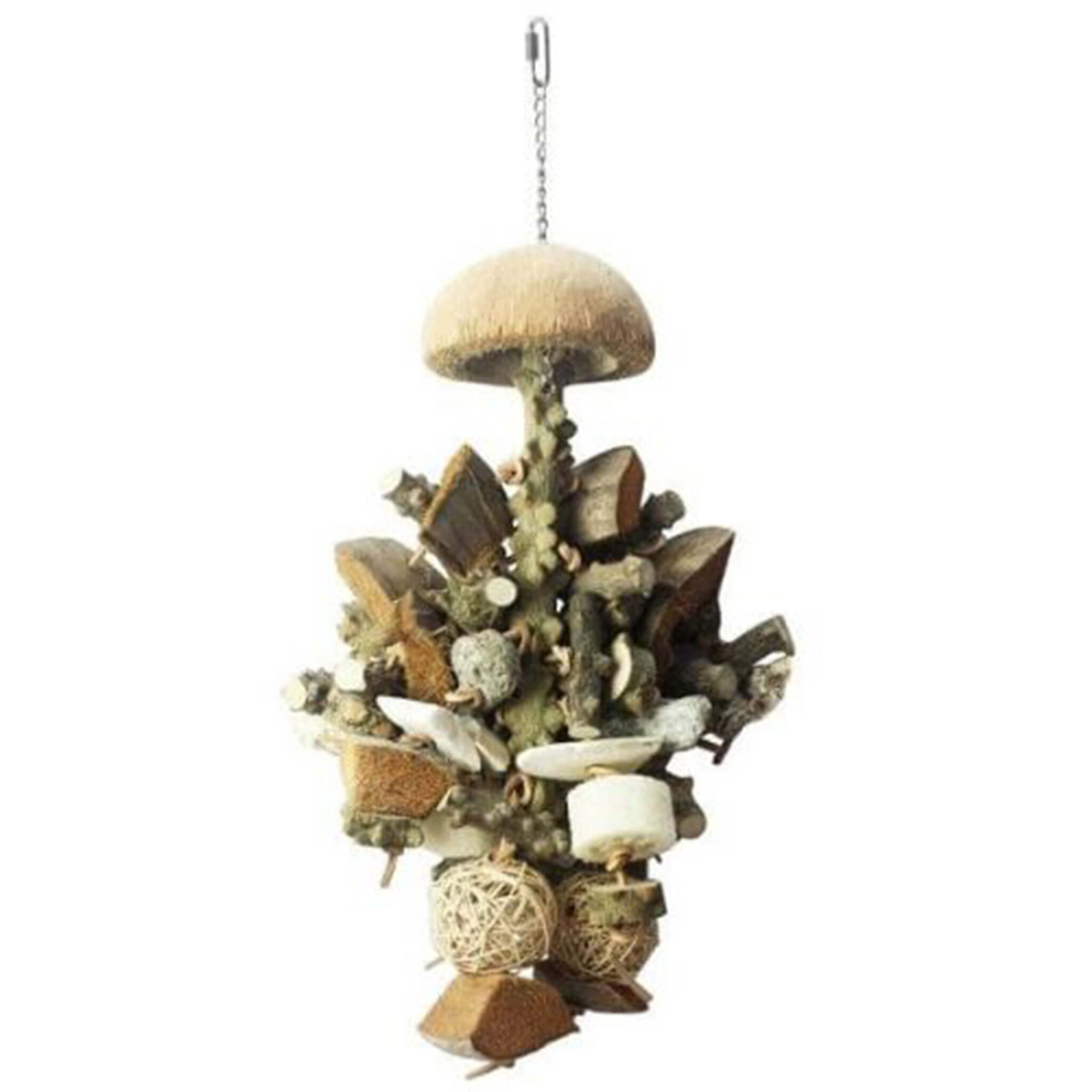 Gigantic Coconut and Rock Natural Bird Toy | Breeders Secret
