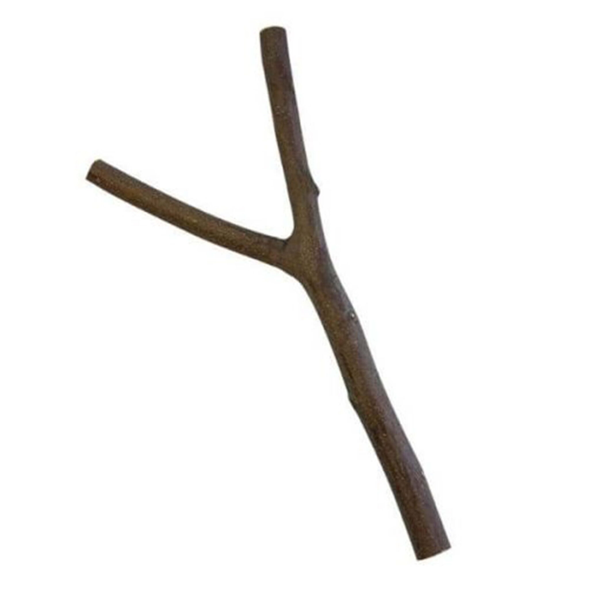 Natural Y Bird Perch | Breeders Secret Bird Products