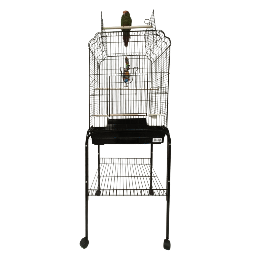Cages and Stands | Small, Medium and Large | Discount on Covers