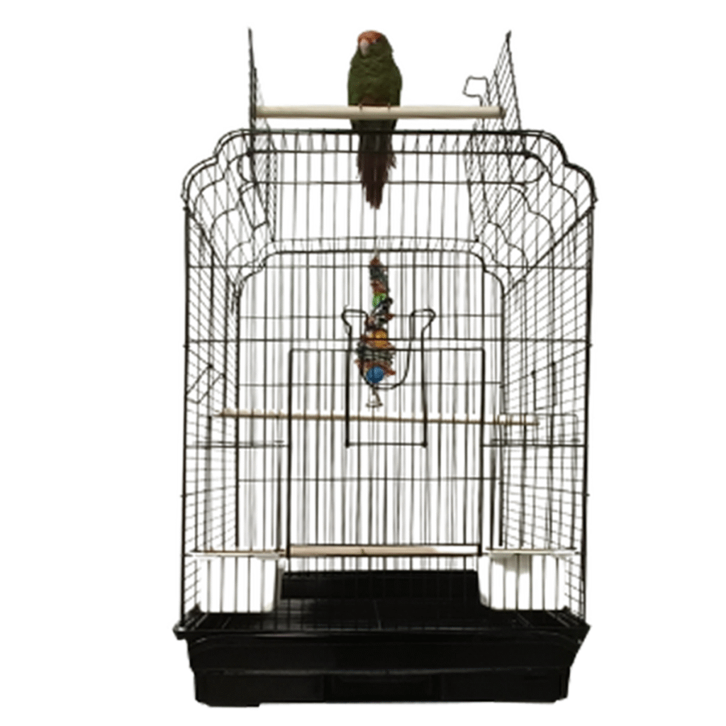 Cages and Stands | Small, Medium and Large | Discount on Covers